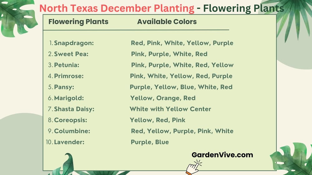 What to Plant in December in North Texas