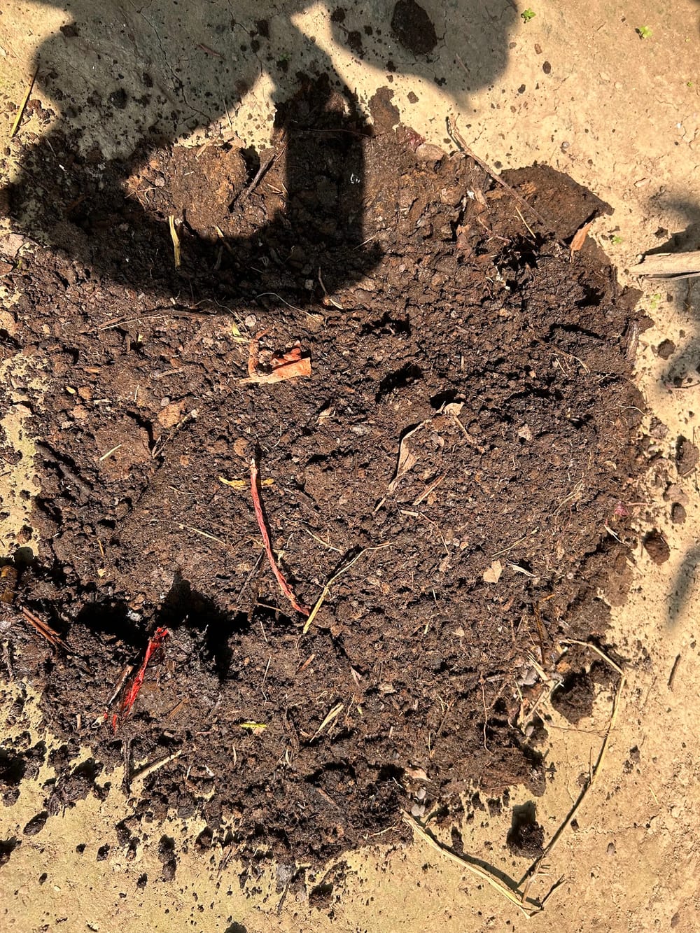 Homemade Fertilizers for Fruit Trees with Chart