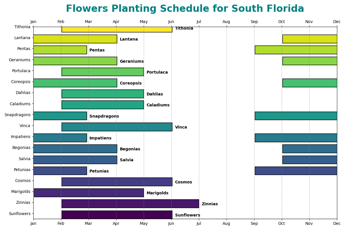 South Florida Planting Calendar