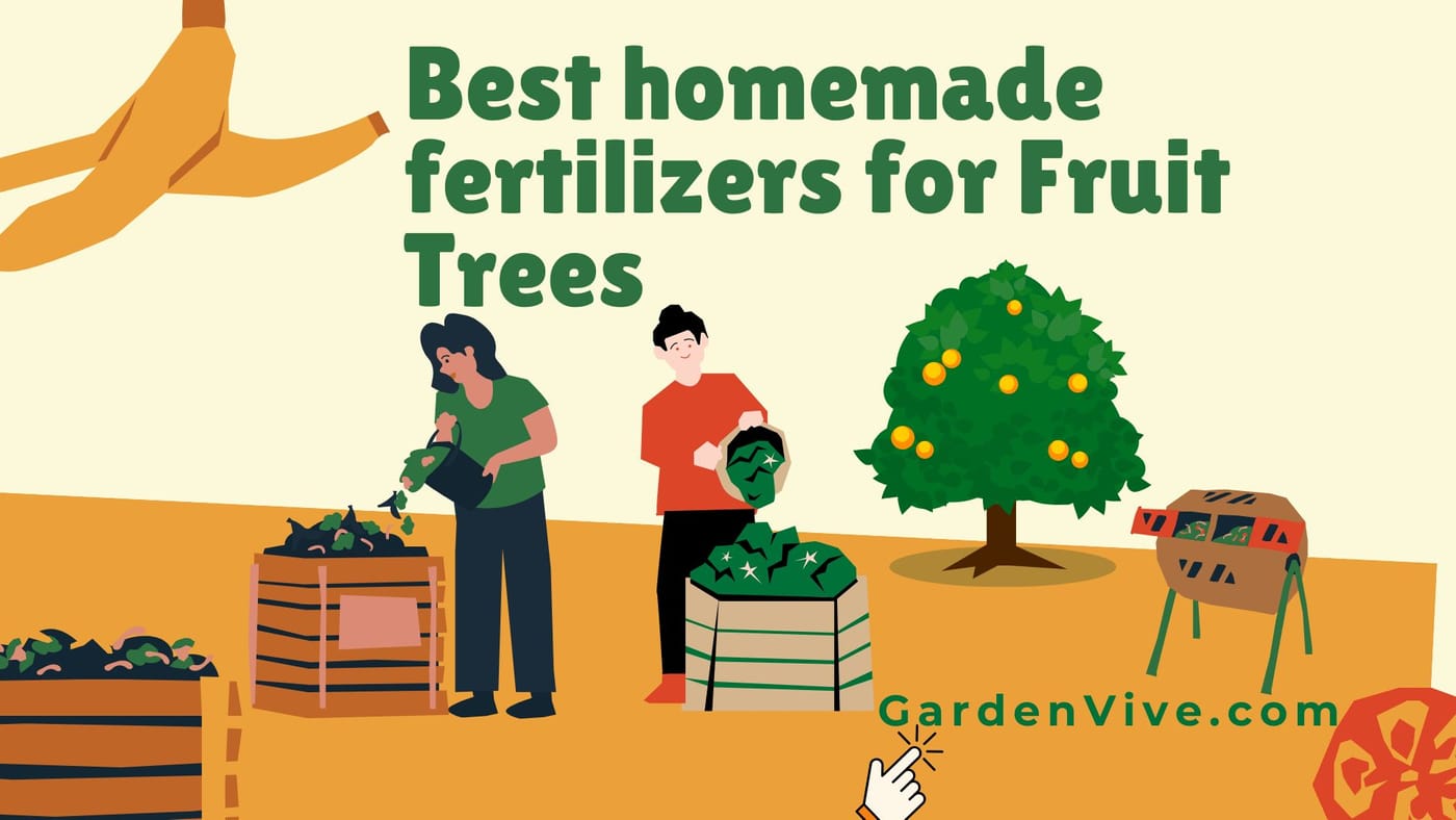 Homemade Fertilizers for Fruit Trees with Chart