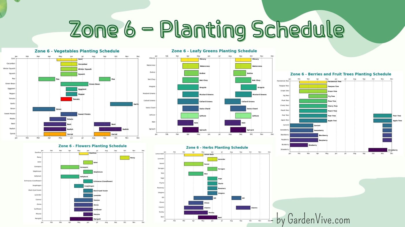 Zone 6 Planting Schedule - Chart