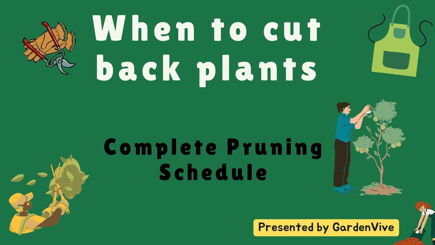 When to cut back plants - Pruning Schedule
