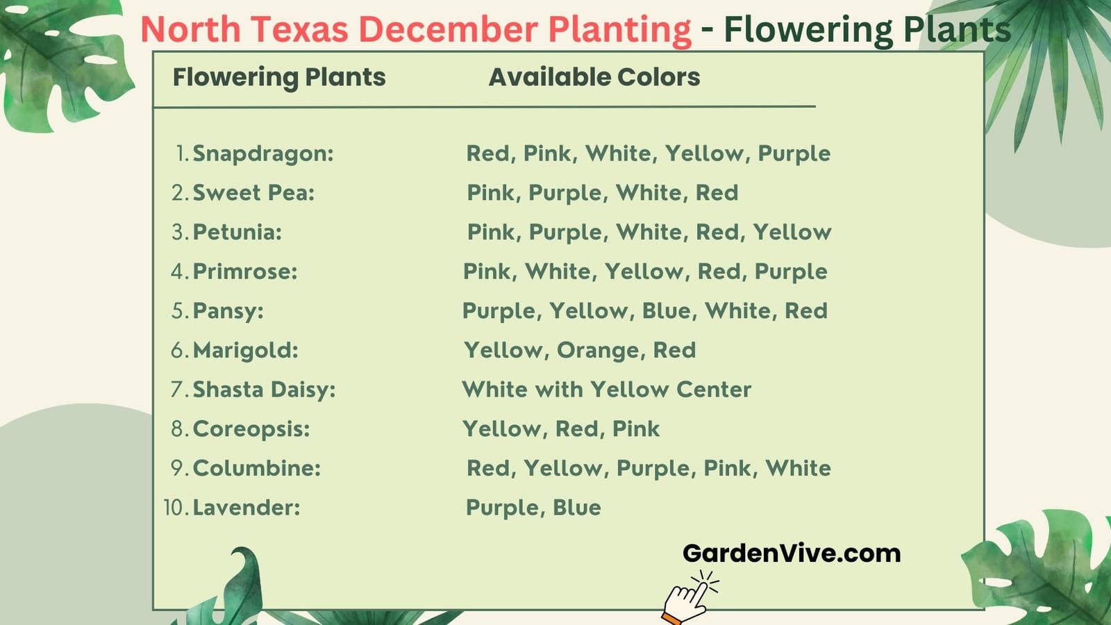 What to Plant in December in North Texas