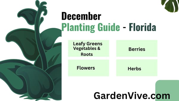 Florida Gardening Zones Map - Hardiness