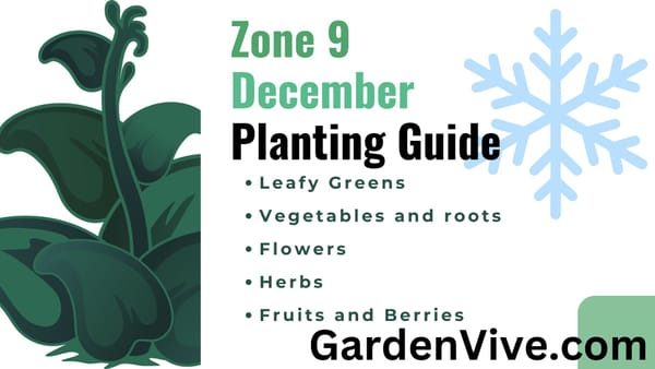 Zone 9 Planting Schedule - Charts