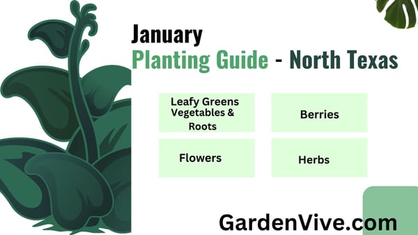 North Texas Planting Calendar - Total Guide