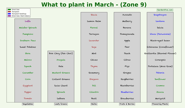 What to Plant in March in Zone 9 - Chart