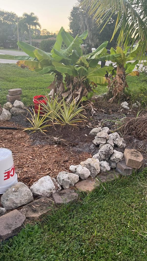 How to get rid of Torpedo Grass